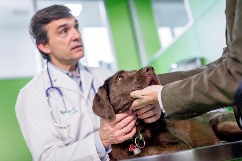 About us - Merck Animal Health