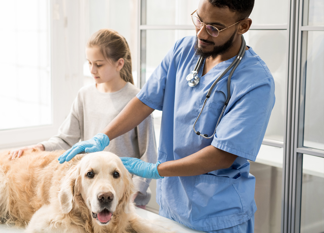 Normalizing Mental Healthcare and Wellbeing in the Veterinary ...