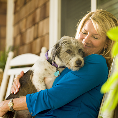 Media Center - Merck Animal Health