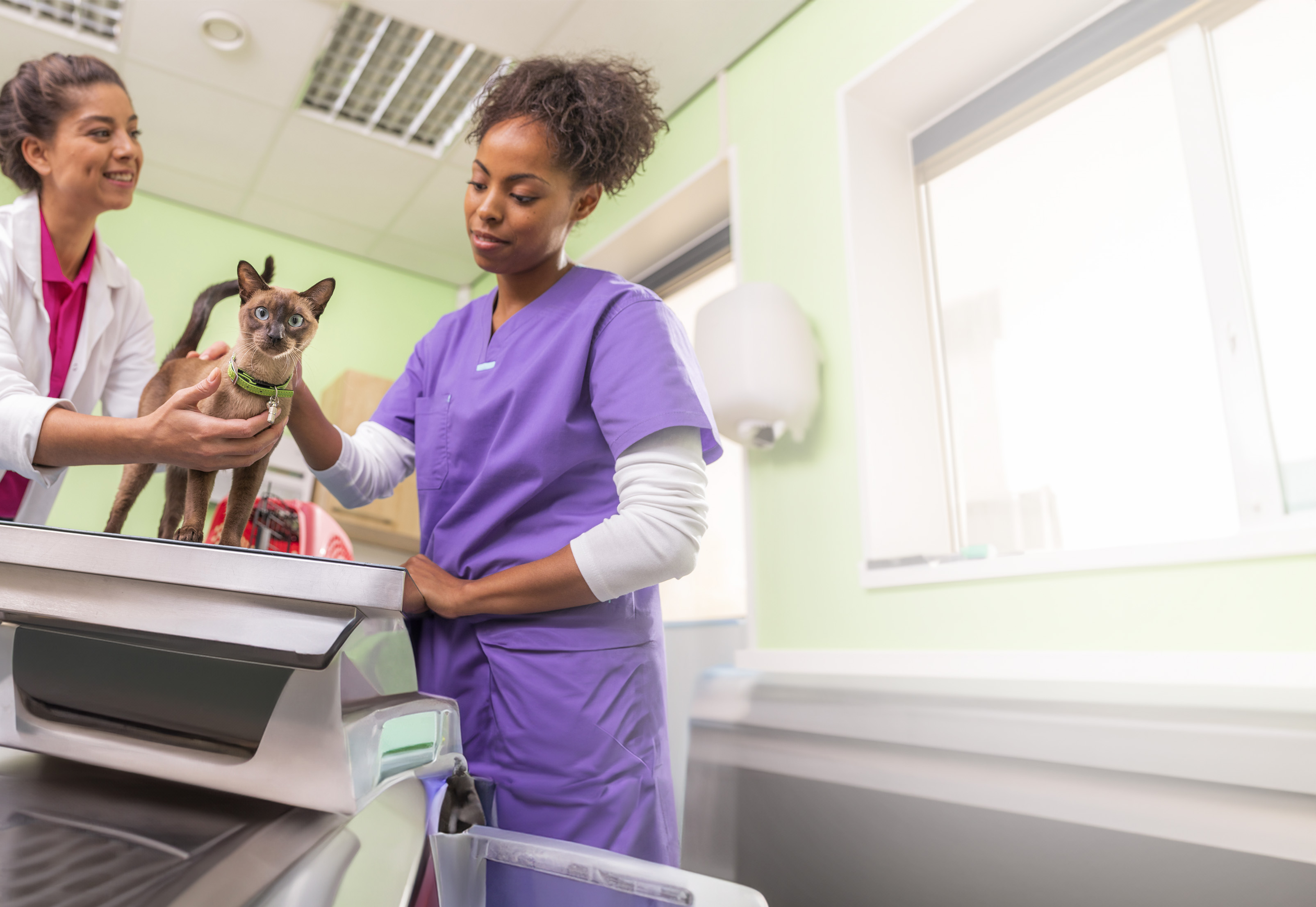 Corporate home page - Merck Animal Health