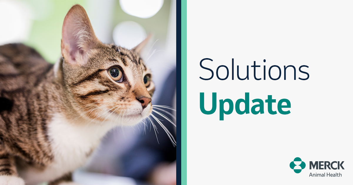 Merck Animal Health's Ground-breaking FeLV Vaccine