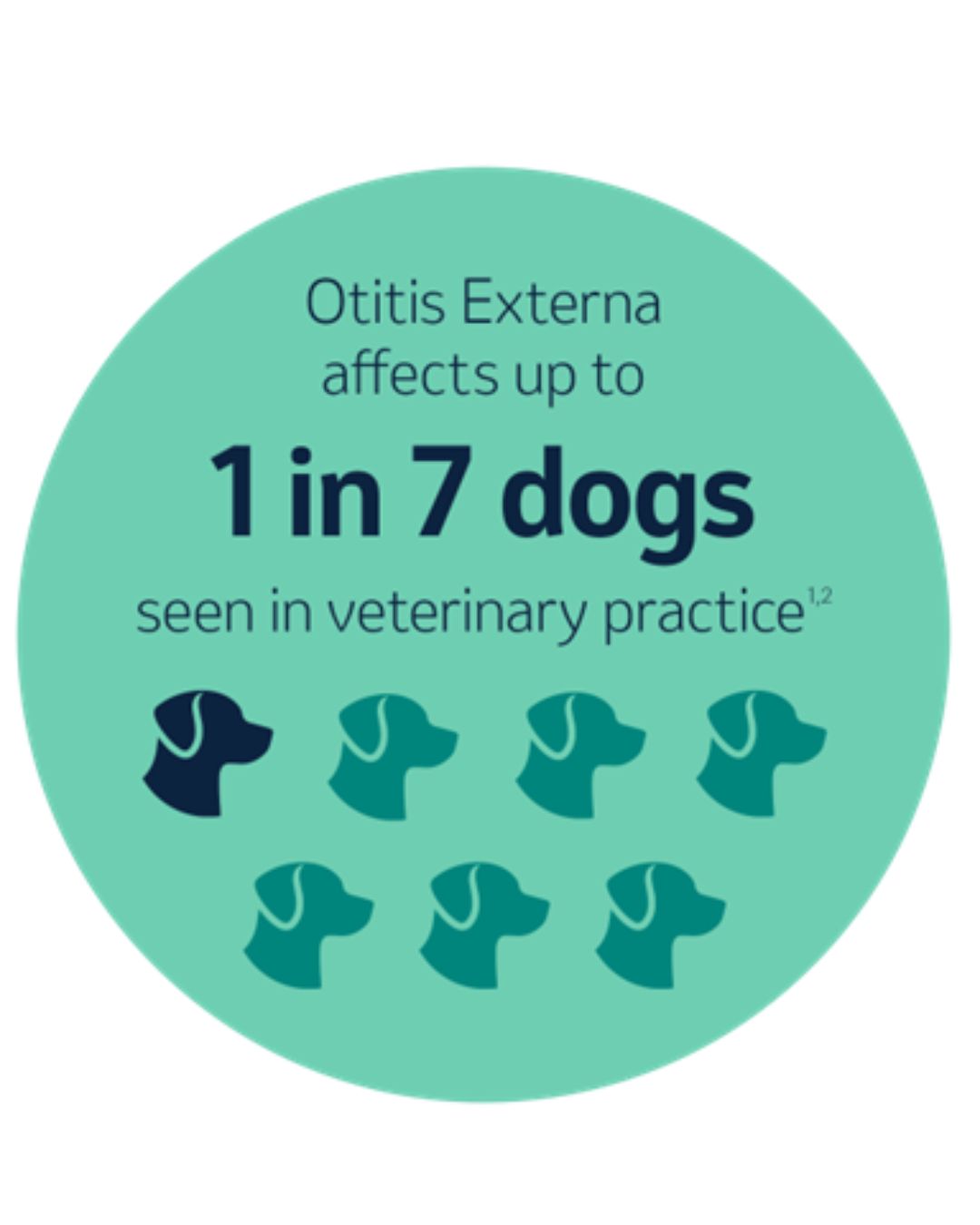 Canine Otitis Externa in Dogs: Prevalence, Symptoms, and Care - Merck Animal Health