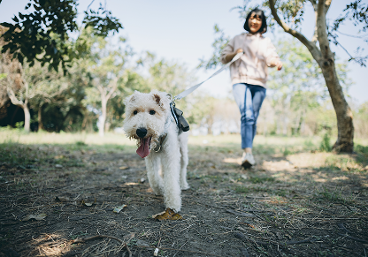 When Is Itching an Issue? Identifying and Treating Abnormal Itch in ...